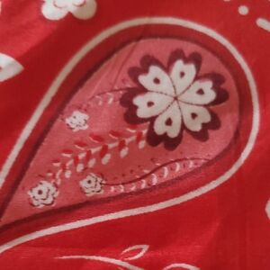 Accessories | Red Paisley Bandana | Poshmark